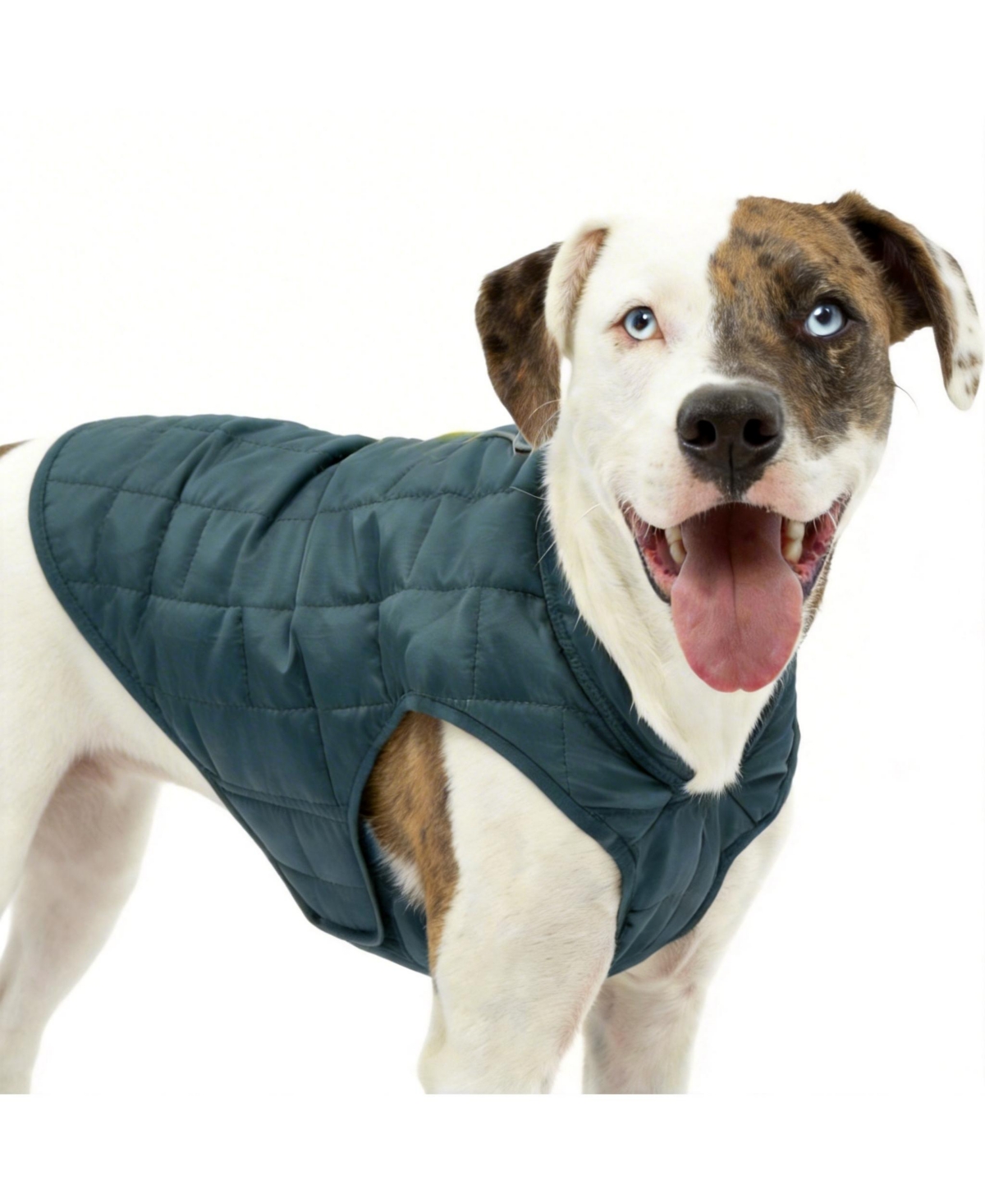 Click here for Aronkl Loft Dog Jacket: Insulated  Reversible  Wat... prices