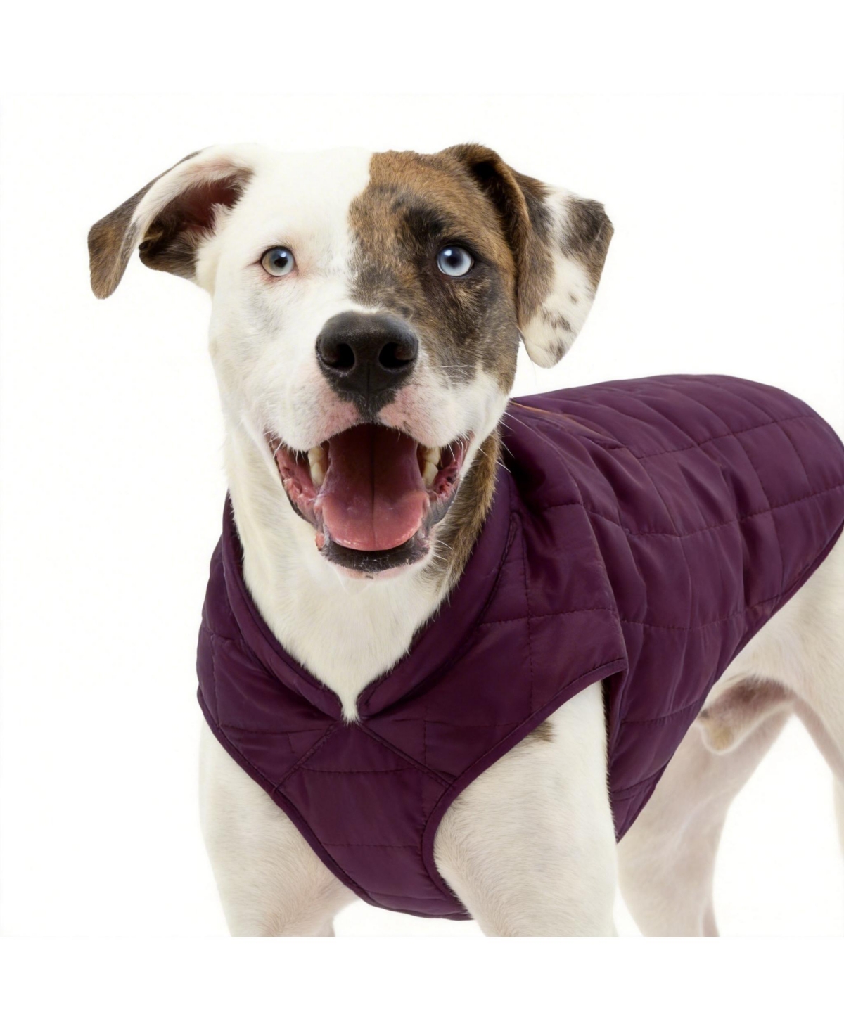Click here for Aronkl Loft Dog Jacket: Insulated  Reversible  Wat... prices
