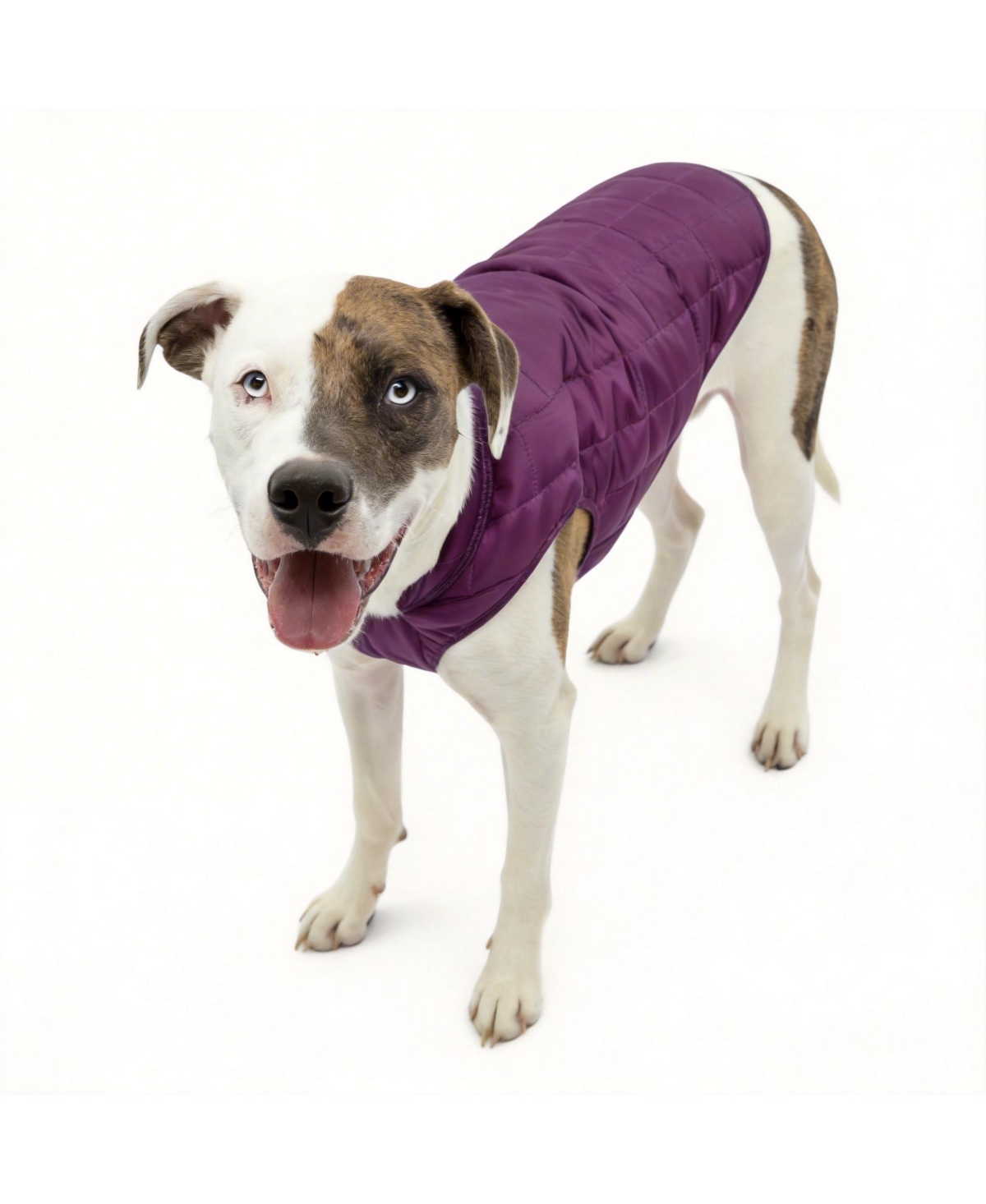 Click here for Aronkl Loft Dog Jacket: Insulated  Reversible  Wat... prices