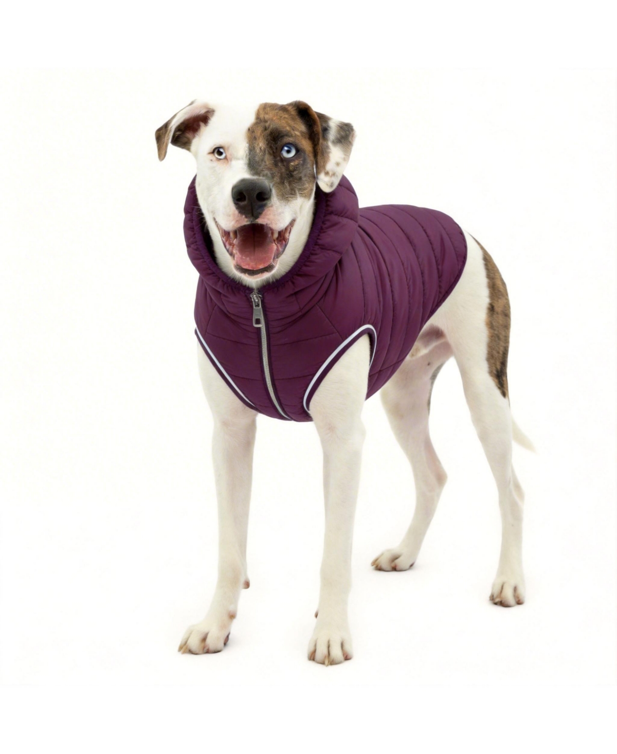 Click here for Aronkl Loft Dog Jacket: Insulated  Reversible  Wat... prices