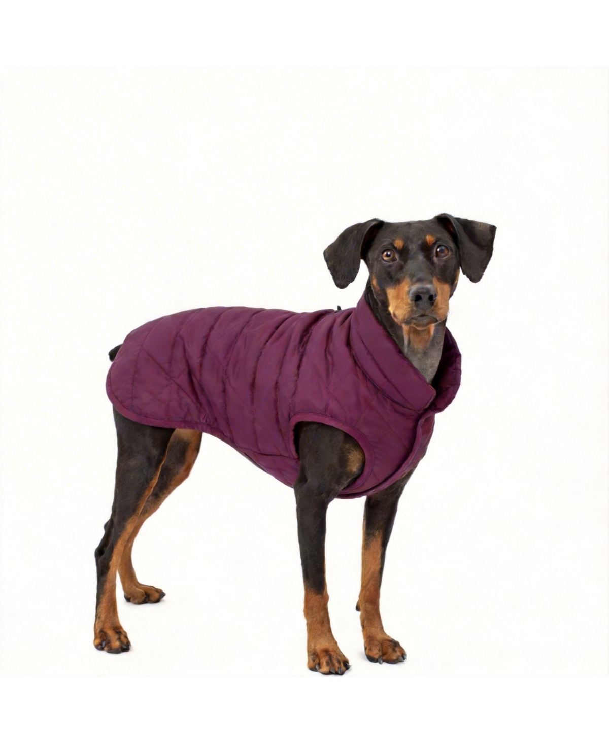 Click here for Aronkl Loft Dog Jacket: Insulated  Reversible  Wat... prices