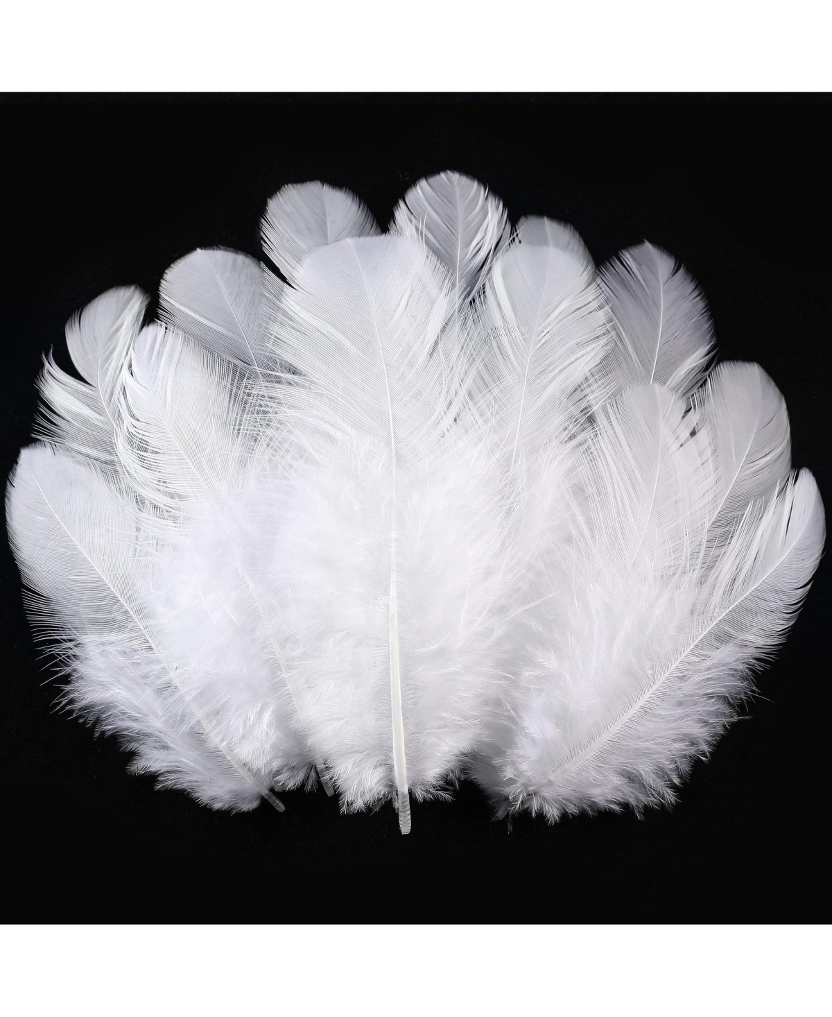 Click here for Gnuadz 300pcs Feathers For Crafts Wedding Home Par... prices