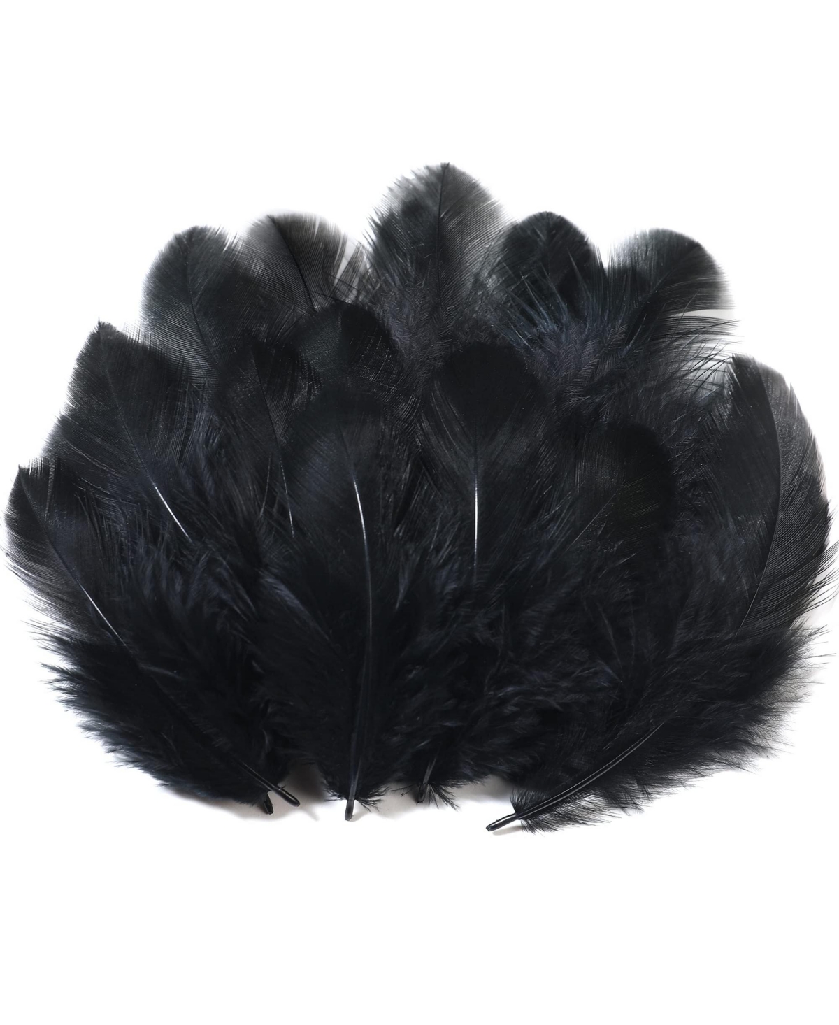 Click here for Gnuadz 300pcs Feathers For Crafts Wedding Home Par... prices