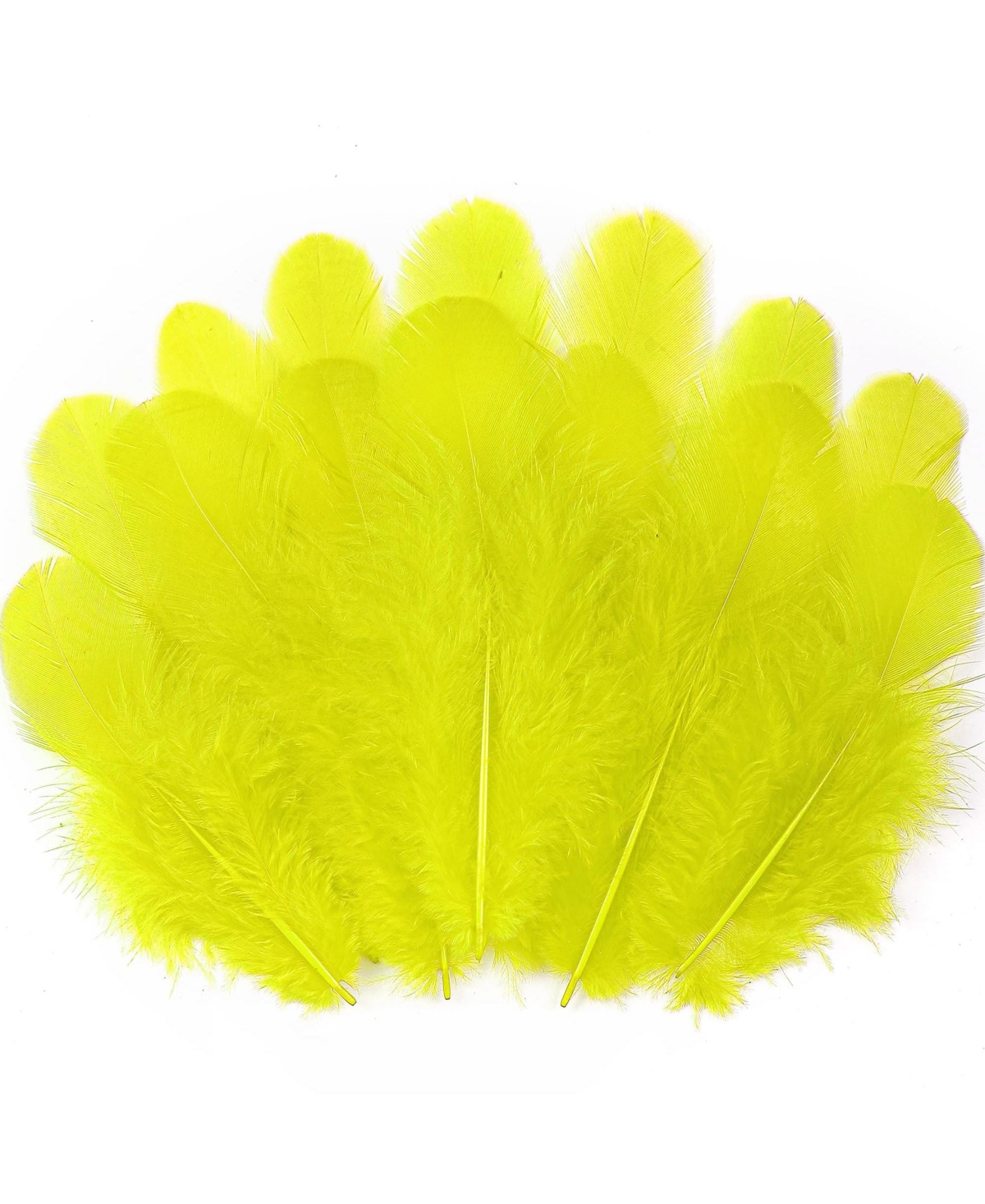 Click here for Gnuadz 300pcs Feathers For Crafts Wedding Home Par... prices