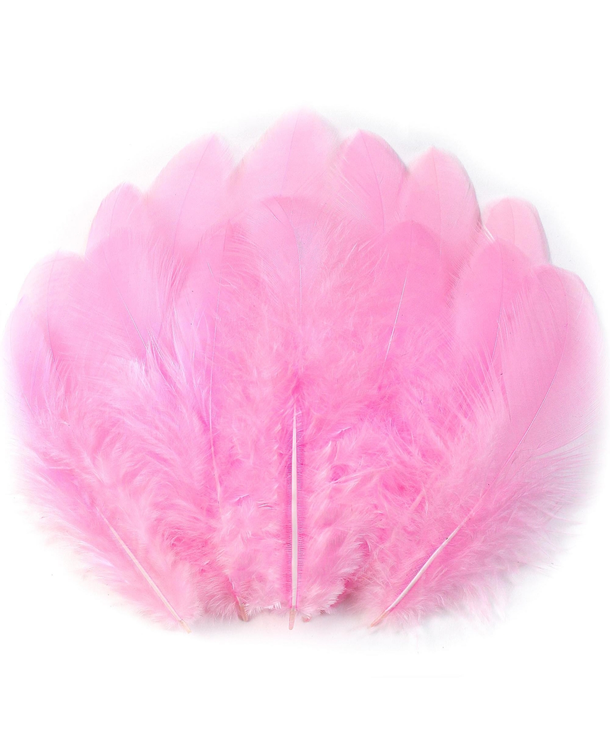Click here for Gnuadz 300pcs Feathers For Crafts Wedding Home Par... prices
