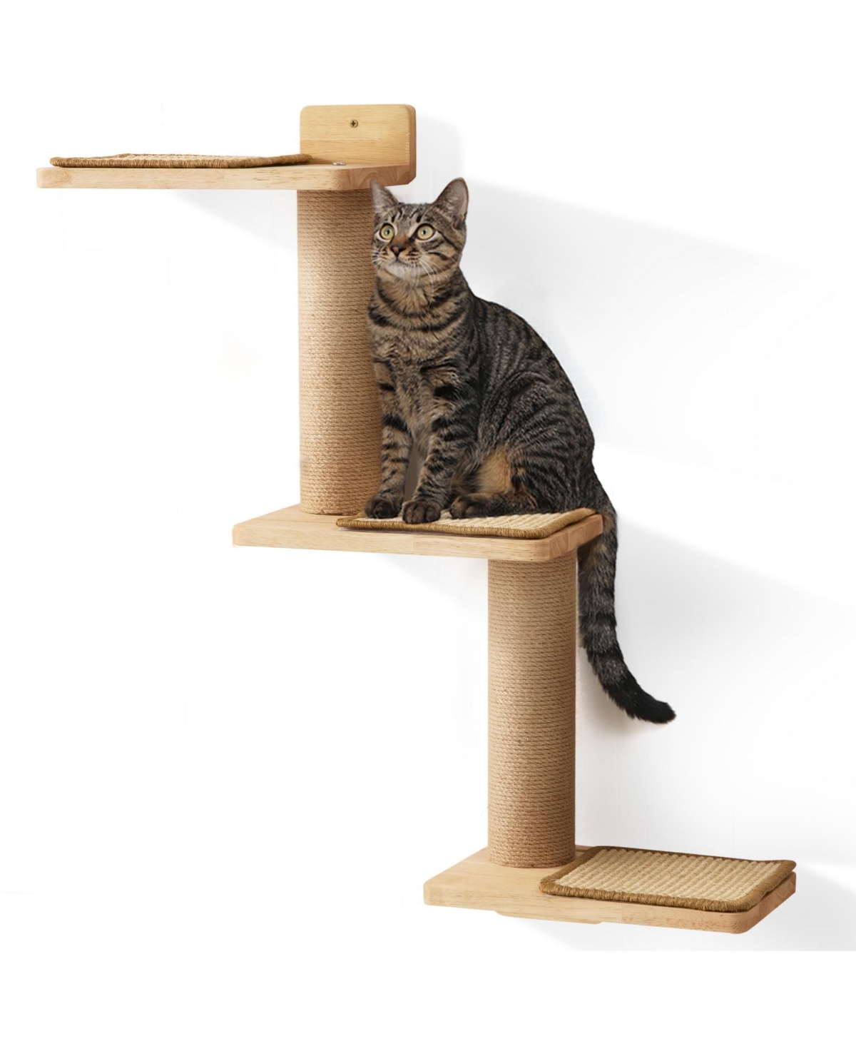 Click here for Aronkl 3 in 1 Transformable Cat Wall Shelves Perch... prices