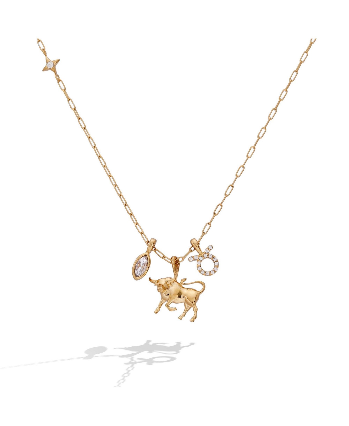Click here for Alex and Ani Taurus Zodiac Charm Cluster Necklace... prices