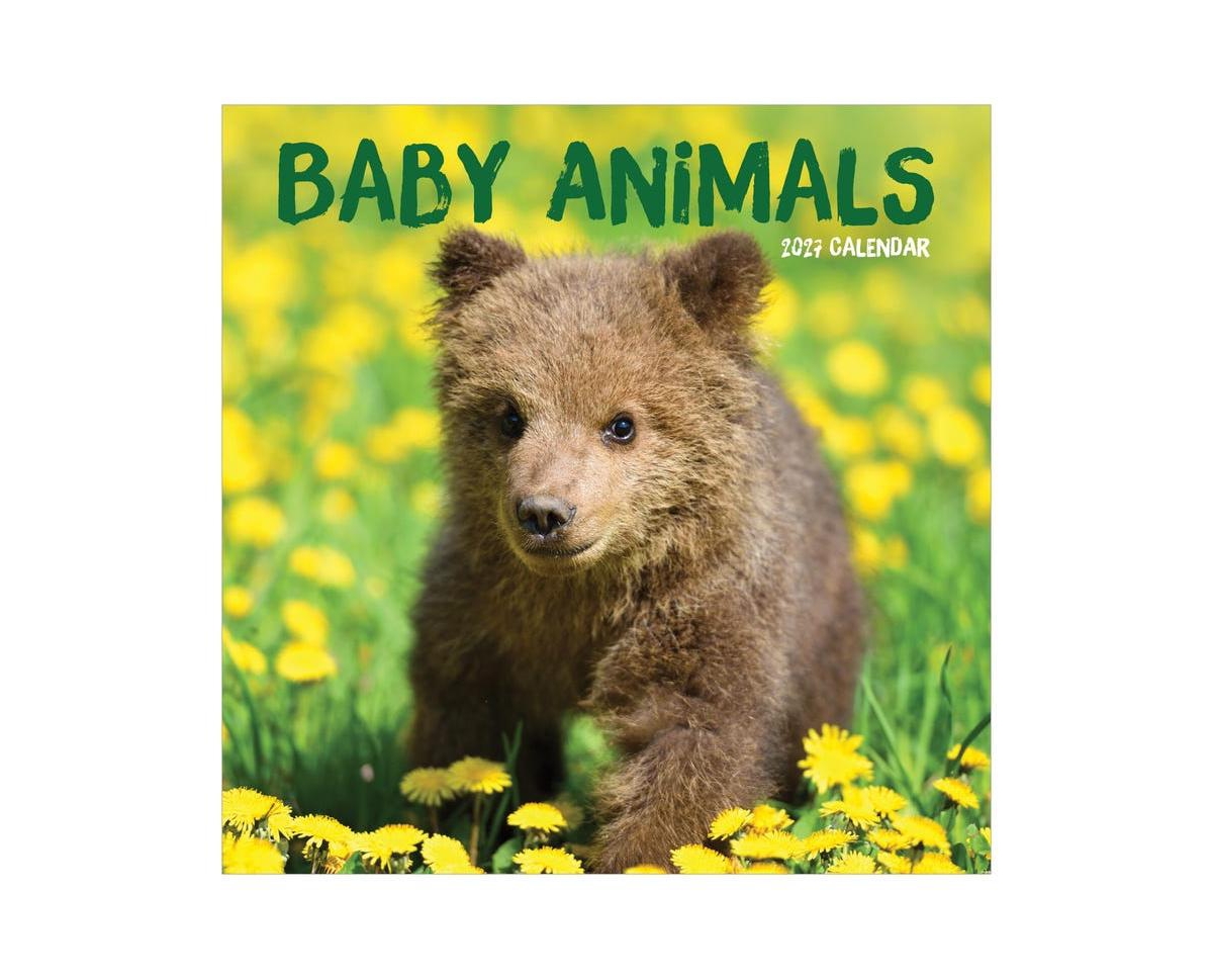 Click here for Tf Publishing Paper Goods 2027 Baby Animals Wall C... prices