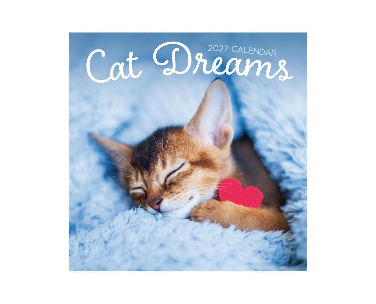 Click here for Tf Publishing Paper Goods 2027 Cat Dreams Wall Cal... prices