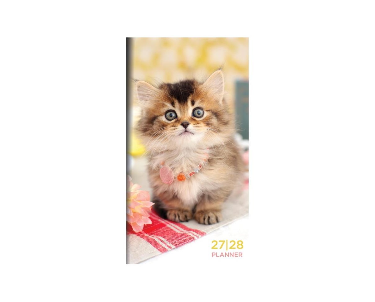 Click here for Tf Publishing Paper Goods 2027-2028 Kitten Small M... prices