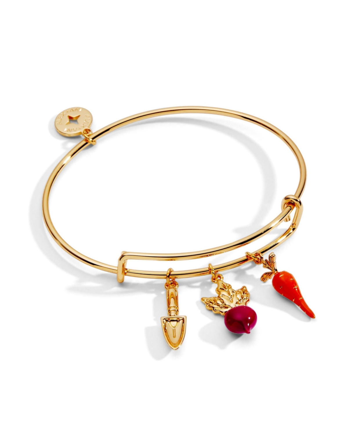 Click here for Alex and Ani Farmers Market Multi Charm Bangle prices
