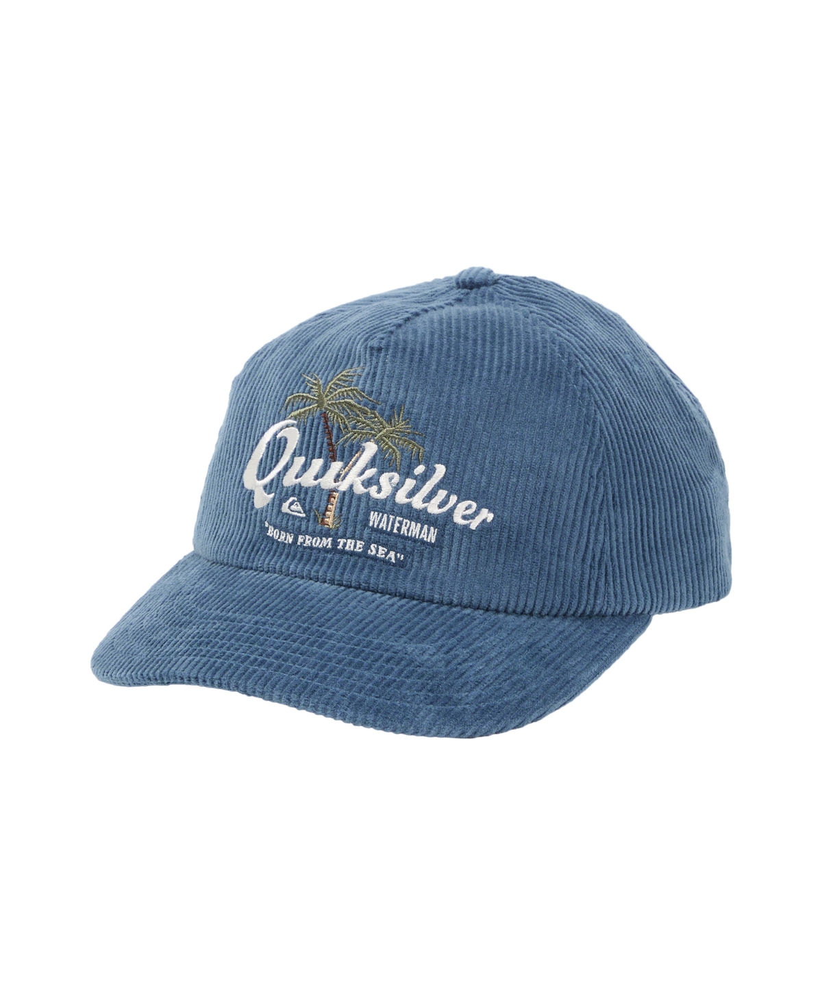 Click here for Quiksilver Waterman Mens Curved brim Hat - Riviera prices