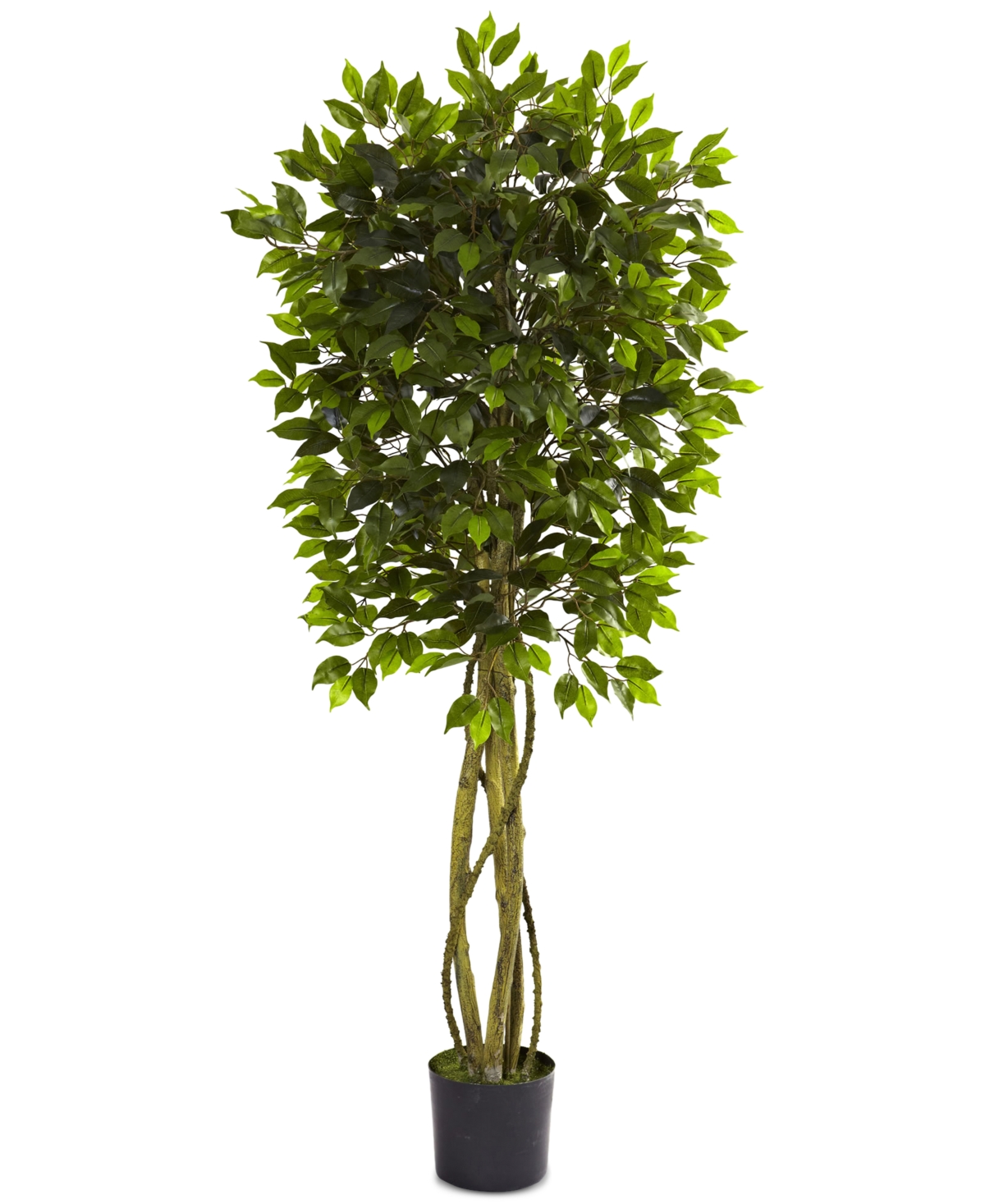 Click here for Nearly Natural 5.5 Ficus Uv-Resistant Indoor/Outdo... prices