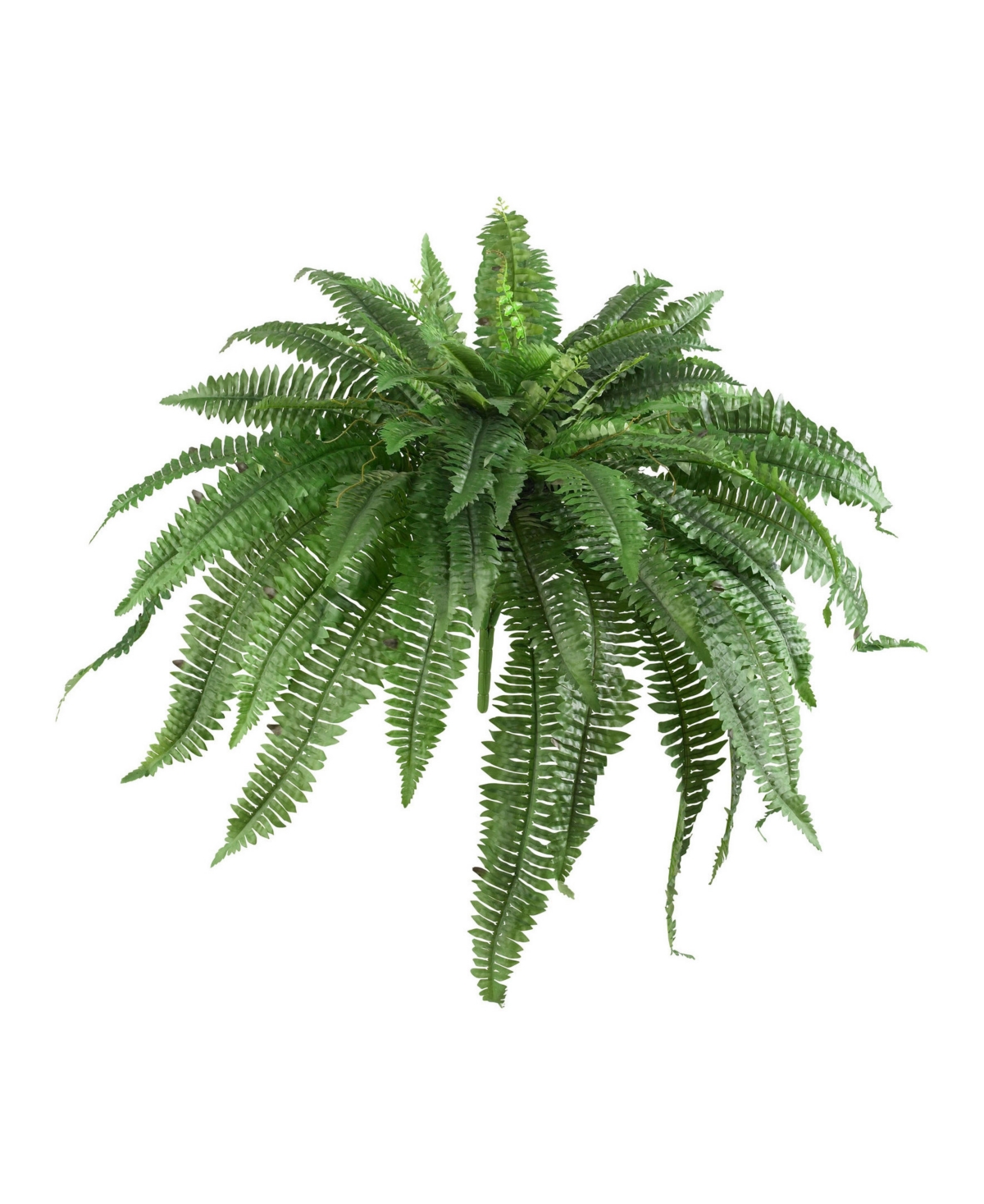 Click here for Nearly Natural 2-Pc. 48 Boston Fern Artificial Pla... prices