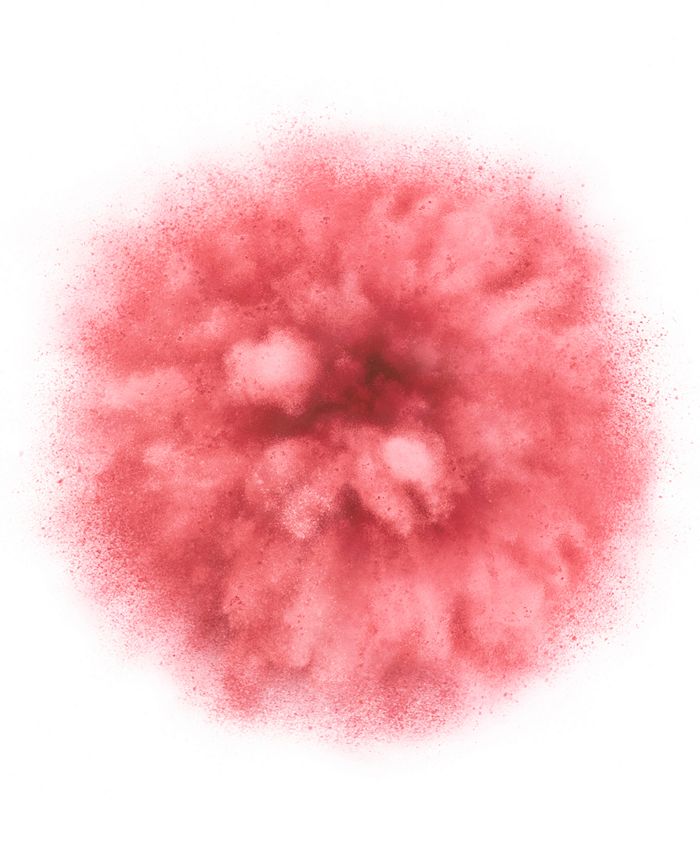 Shiseido Inner Glow Cheek Powder, 0.14-oz. - Macy's