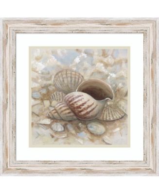 Amanti Art Beach Prize I- Triton Seashell Framed Art Print - Macy's