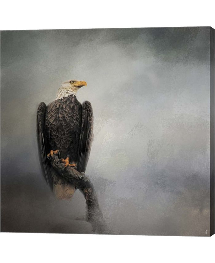 Metaverse High Perch Bald Eagle by Jai Johnson Canvas Art - Macy's