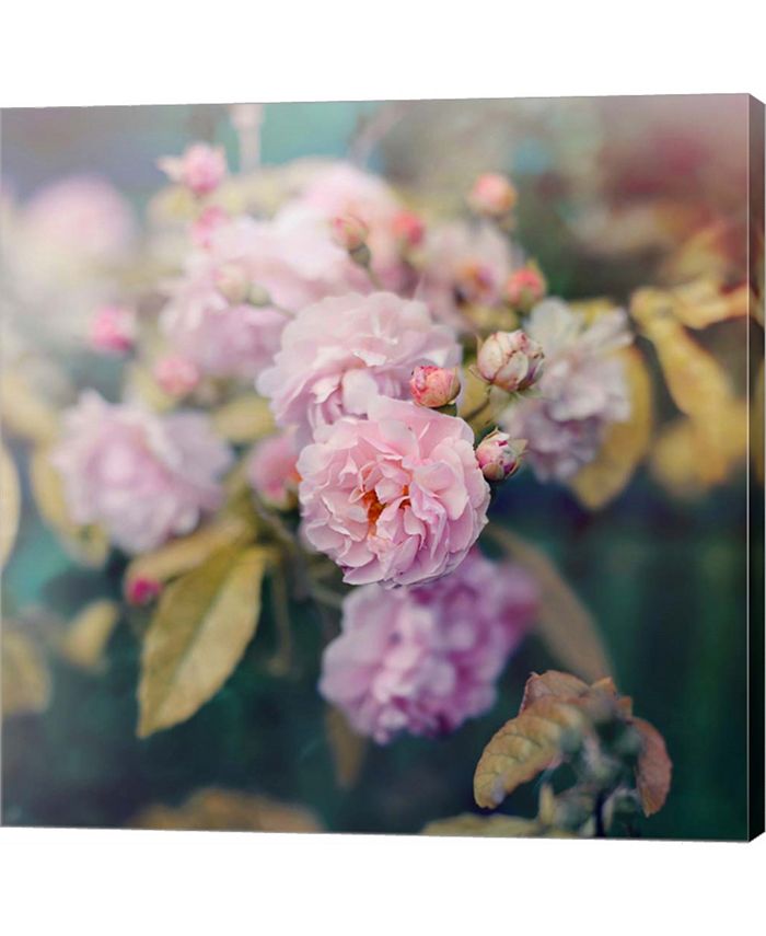 Metaverse Season of Bloss by Sarah Gardner - Macy's