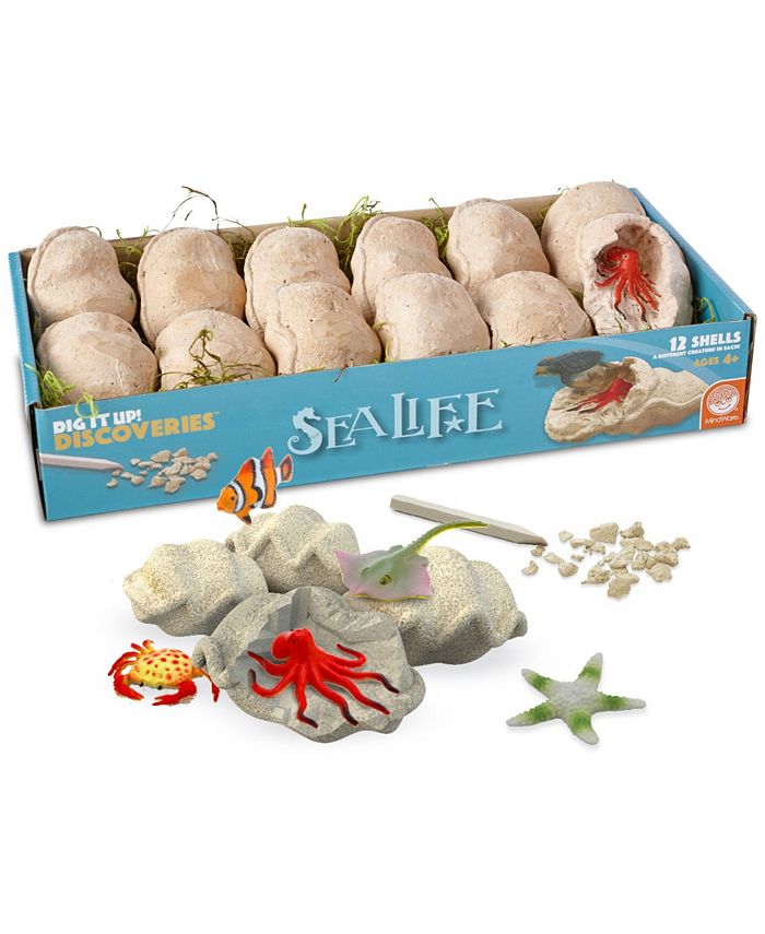 MindWare Dig It Up! - Discoveries- Sea Life - Macy's