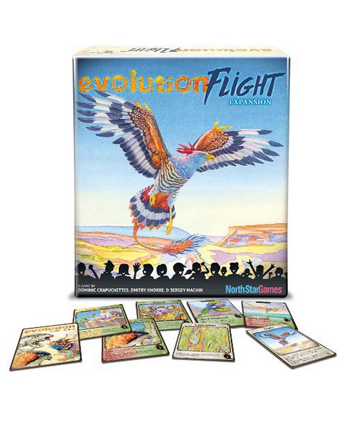 North Star Games Evolution - Flight Expansion - Macy's