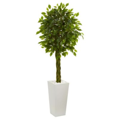 Nearly Natural 5' Braided Ficus Artificial Tree in White Tower Planter ...