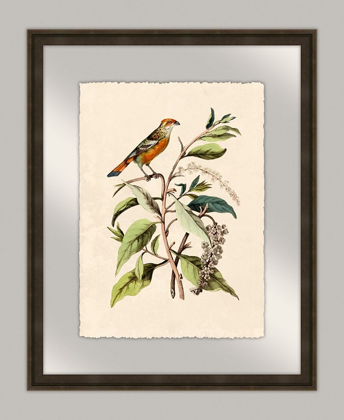 Melissa Van Hise Oiseaux IV Framed Giclee Wall Art - 20" x 25" x 2 ...