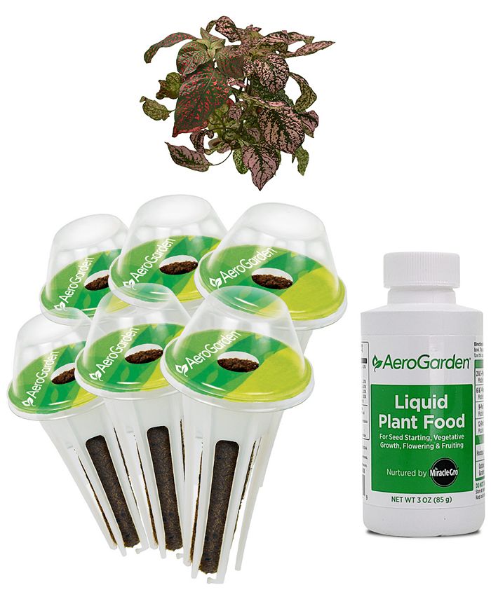AeroGarden Lots of Dots 6-Pod Seed Kit - Macy's