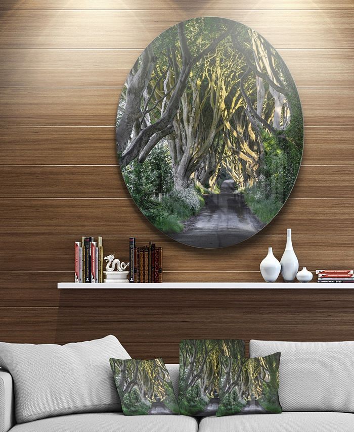 Design Art Designart 'The Dark Hedges Ireland Landscape' Disc ...
