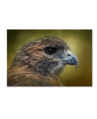 Jai Johnson 'Red Tailed Hawk At Reelfoot' Canvas Art - 19" x 12" x 2 ...