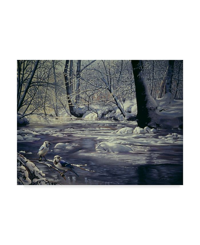 Trademark Global D. Rusty Rust 'Winters Wonder' Canvas Art - 24" x 18 ...