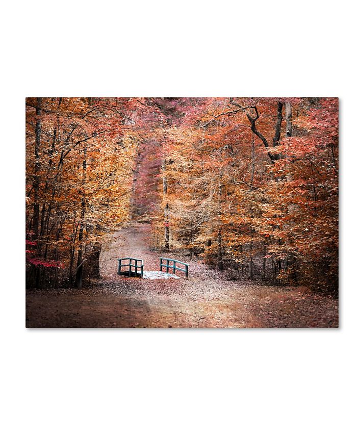 Trademark Global Jai Johnson 'The Little Blue Bridge' Canvas Art - 47 ...