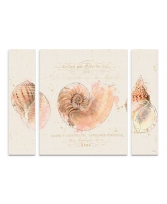 Katie Pertiet 'Shell Collector I' Multi Panel Art Set - 24" x 32" x 2 ...