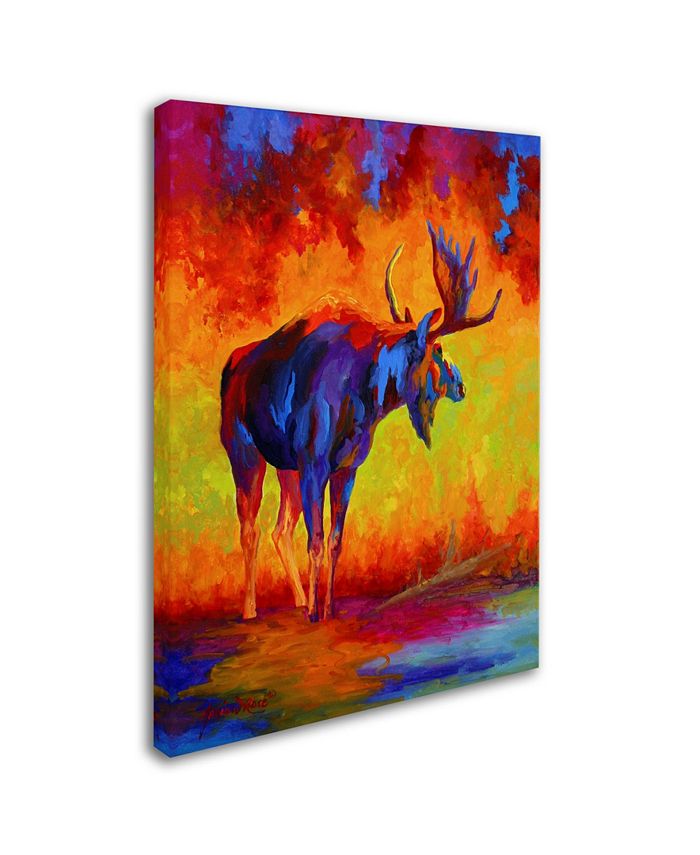 Trademark Global Marion Rose 'Moose 5' Canvas Art - 32" x 24" x 2" - Macy's