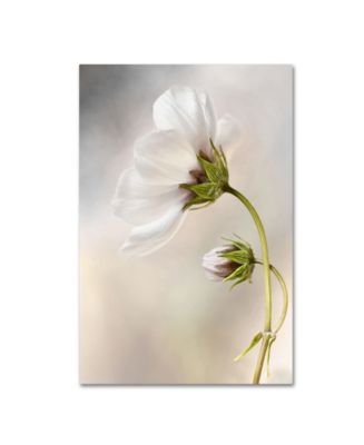 Mandy Disher 'Heavenly Cosmos' Canvas Art - 24" x 16" x 2" - Macy's