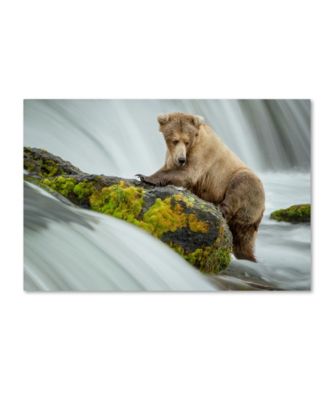 Renee Doyle 'Left Wanting' Canvas Art - 32" x 22" x 2" - Macy's