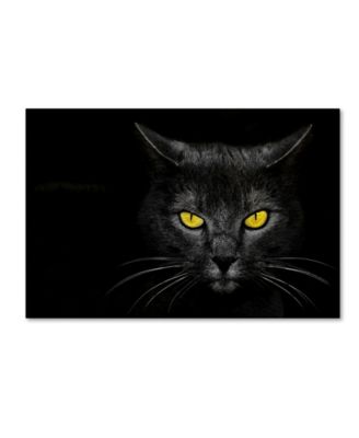 Davorin Baloh 'Monster Kill' Canvas Art - 47" x 30" x 2" - Macy's