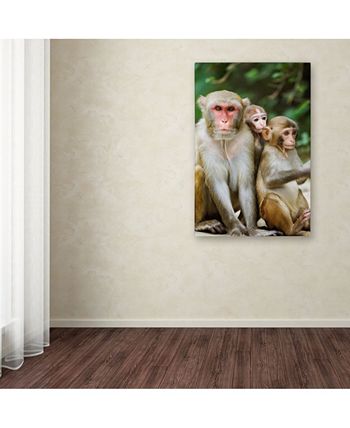 Trademark Global Robert Harding Picture Library 'Monkey 2' Canvas Art ...