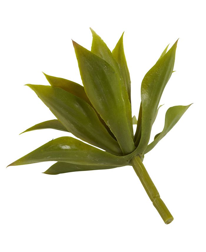 Nearly Natural Mini Agave Succulent Plant, Set of 12 - Macy's