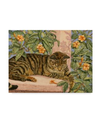 Jan Benz 'Caribbean Cat' Canvas Art - 19" x 14" - Macy's