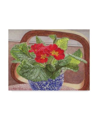 Jan Benz 'Primrose Potted' Canvas Art - 24" x 18" - Macy's