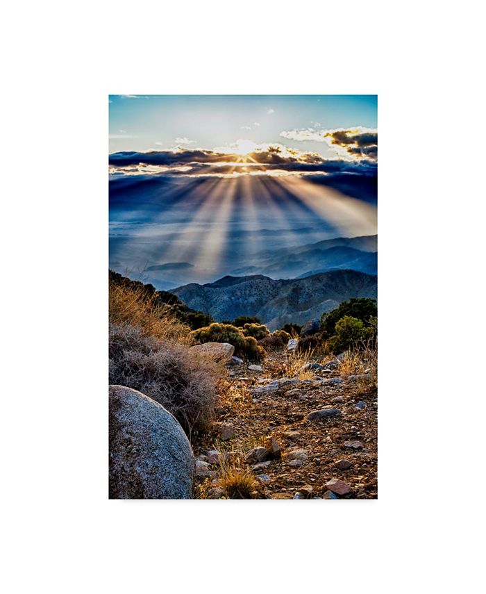 Trademark Global Janice Sullivan 'Joshua Tree Sunset Ii' Canvas Art ...