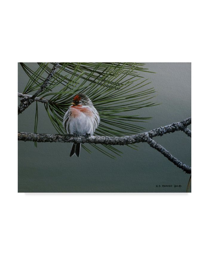 Trademark Global Ron Parker 'Red Poll' Canvas Art - 24" x 32" - Macy's