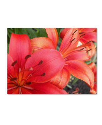 Monica Fleet 'Lehua' Canvas Art - 32" x 24" - Macy's