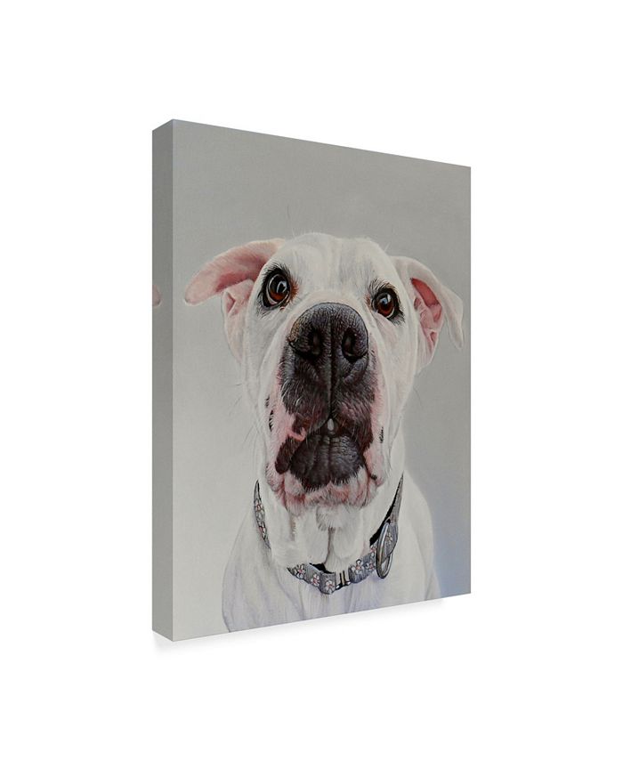 Trademark Global James Ruby 'Katinka' Canvas Art - 24" x 32" - Macy's