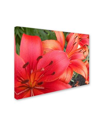 Trademark Global Monica Fleet 'Lehua' Canvas Art - 32" x 24" - Macy's