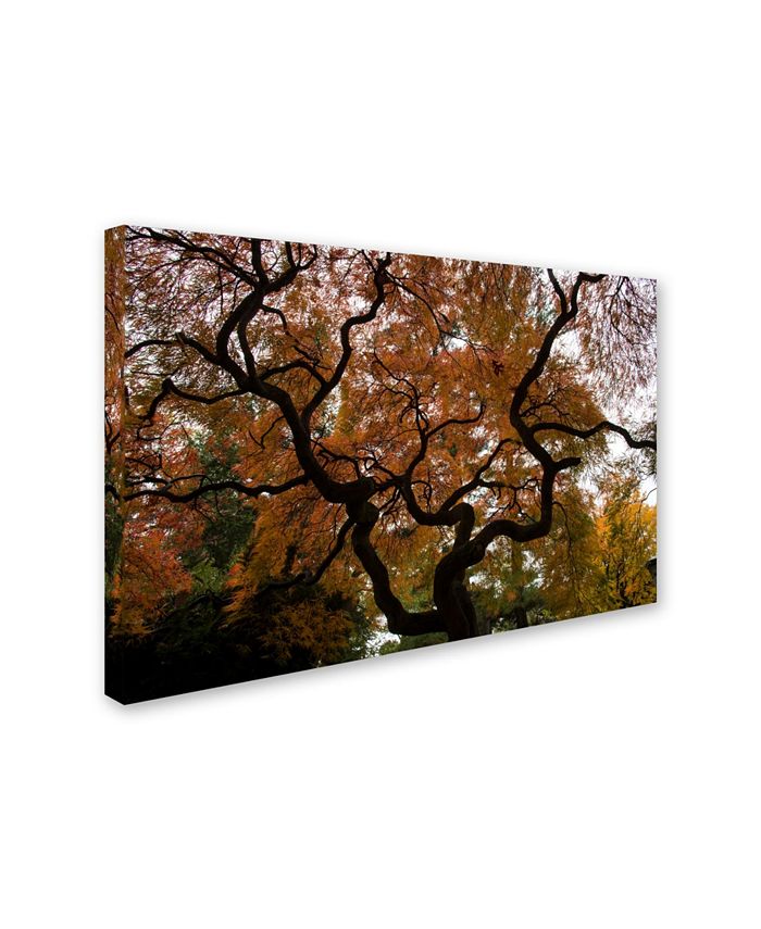 Trademark Global Kurt Shaffer 'Brilliant Japanese Maple Abstract ...