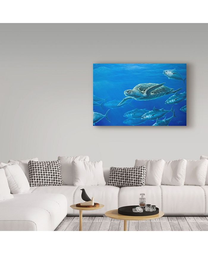 Trademark Global Wilhelm Goebel 'Sea Turtle' Canvas Art - 12" x 19 ...