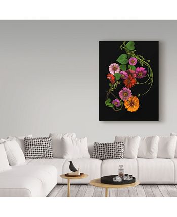 Trademark Global Susan S. Barmon 'Zinnia And Morning Glory Vine 2 ...