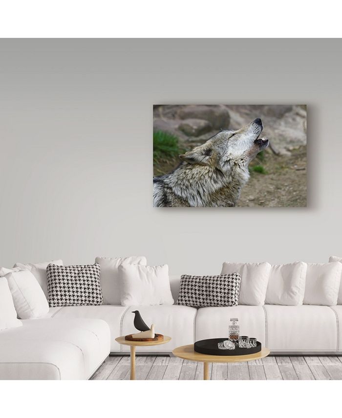 Trademark Global Galloimages Online 'Mexican Wolf Howling' Canvas Art ...