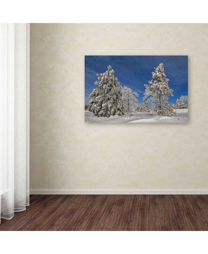 Trademark Global Lois Bryan 'Winter Blues' Canvas Art - 12" x 19" - Macy's